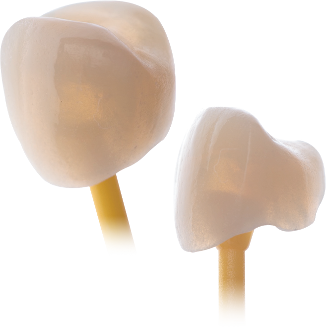 Home Lab – HASSBIO America