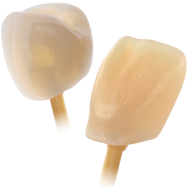 Home Lab – HASSBIO America