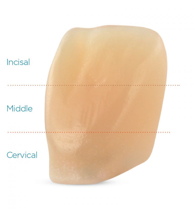 Amber Mill Direct – HASSBIO America
